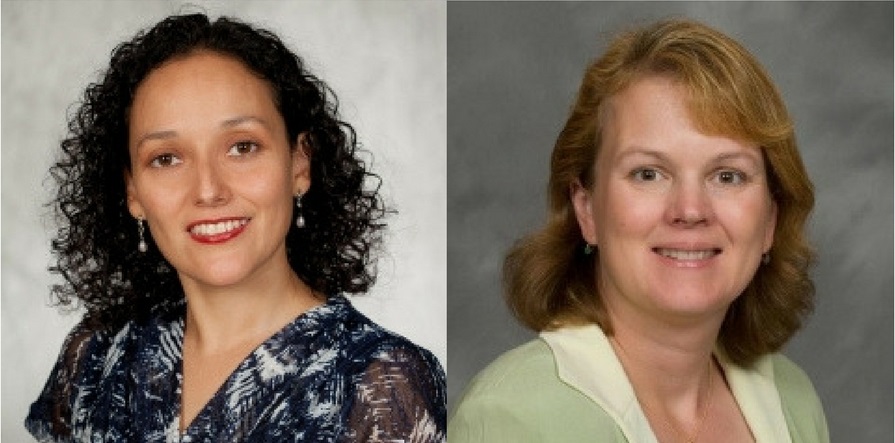 Dr. Rosales and Dr. Whipple have Article Accepted to the Transportation ...