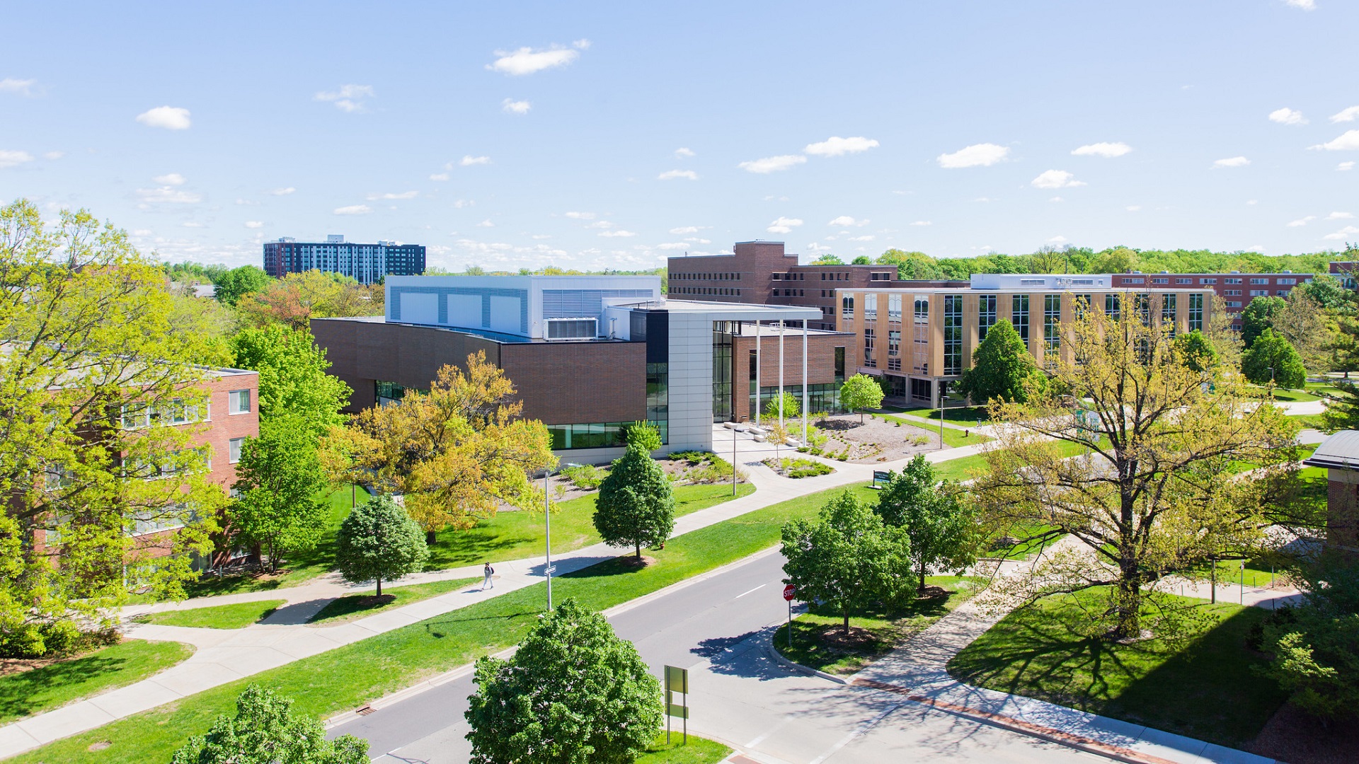 Broad College welcomes new leaders ahead of 2022-23 year - MSU Broad ...